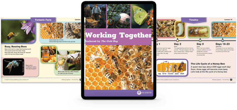 Readtopia - Building Wings